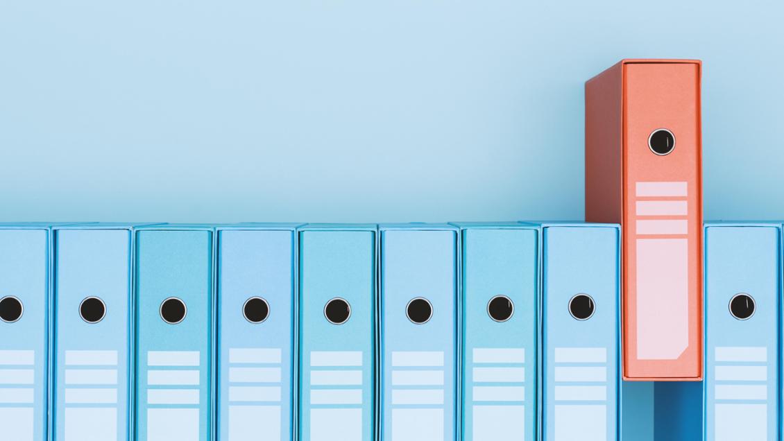 Magnolia JCR Query Tutorial